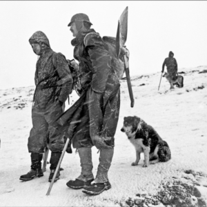 Search Dog History